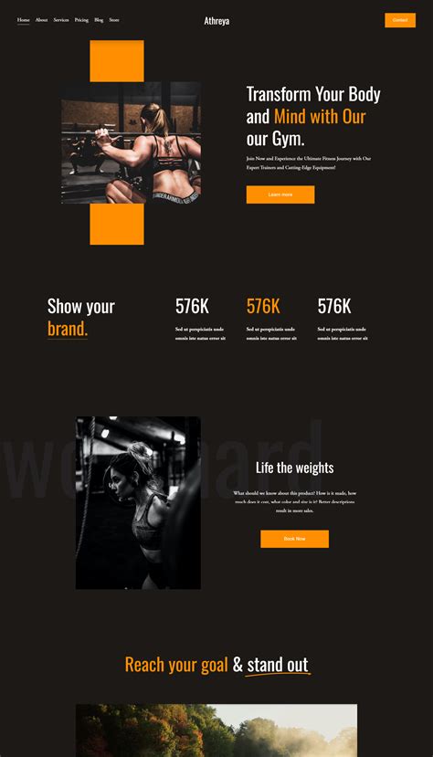 Sstemplatestudio Squarespace Templates Shop