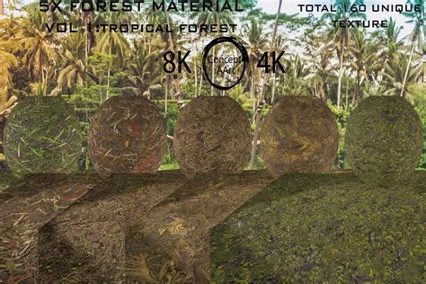 Forest Vol1tropical Forest 2d Textures And Materials Unity Asset Store