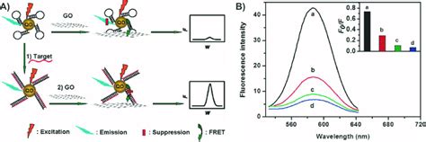 Fret Between Qds And Go To Sense Biomolecules A Schematic