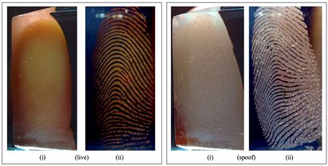 Raspireader Build Your Own Fingerprint Reader Raspberry Pi