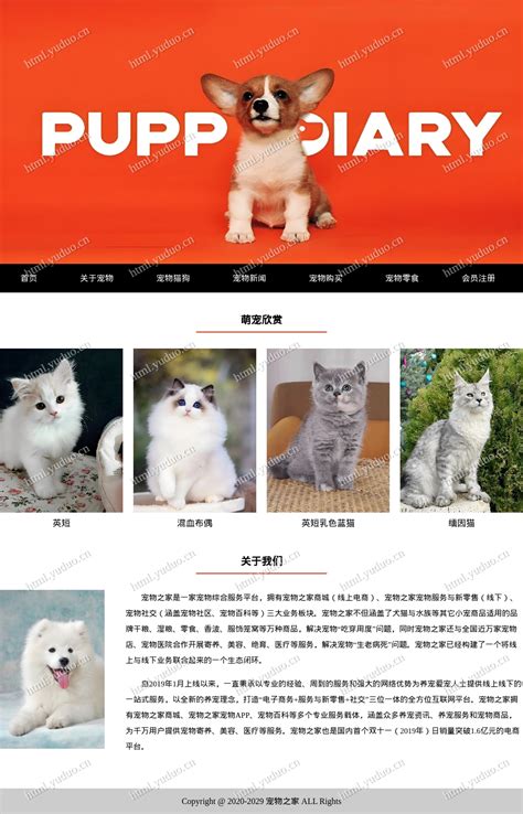HTML网页设计与制作期末作业模板成品源码下载 宠物之家 宠物猫咪狗狗主题