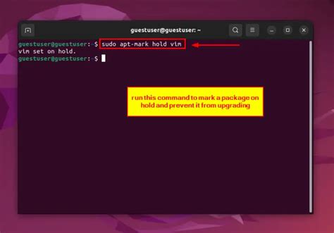 Apt Install Specific Version Of A Package How To Do It
