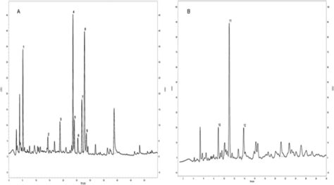 HPLC Chromatogram Expressing Different Peaks For Plant Phytochemicals Download Scientific
