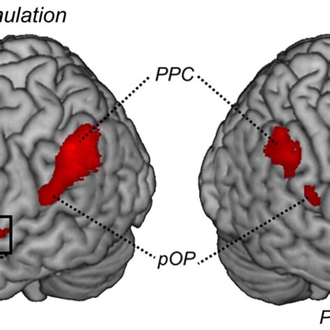 Baseline Temperature Surface Rendering Showing Regions Associated With