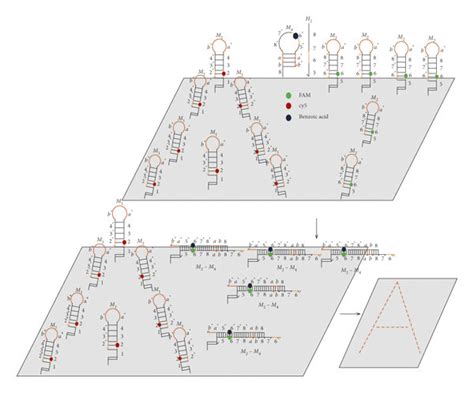 The Case Of NAND Gate Input 0 1 Download Scientific Diagram