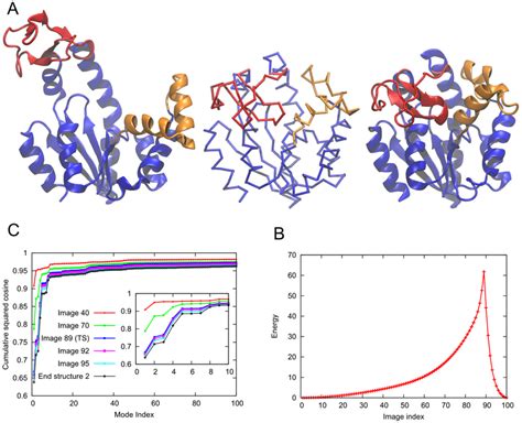 Conformational Transition Between The Open And The Closed States Of