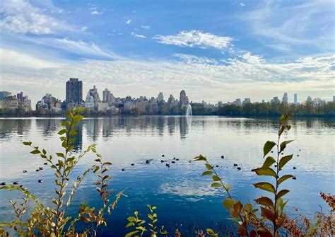 „Еве кои придобивки ги имам откако почнав да правам по 10 000 чекори дневно Не сте ни свесни за