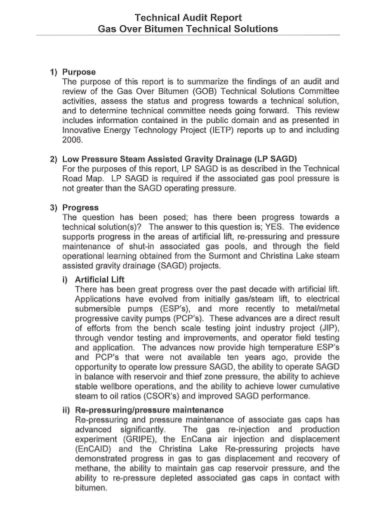 FREE Technical Audit Report Samples In PDF