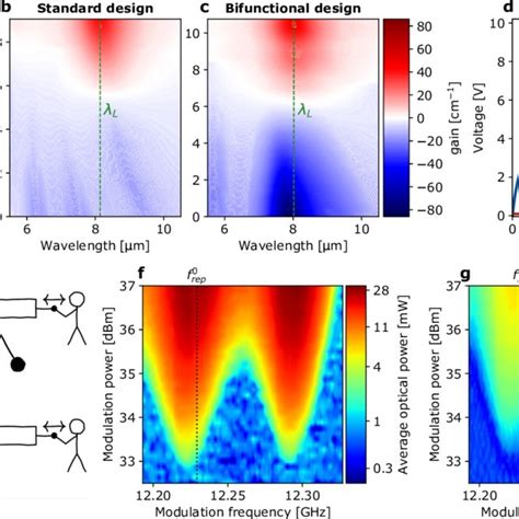 Bi Functional Quantum Cascade Lasers For Mode Locking A Scanning