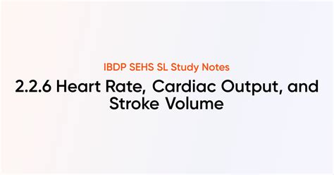 Heart Rate Cardiac Output And Stroke Volume 2 2 6 Ib Dp Sports Exercise And Health