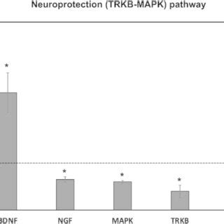 Characterization Of WJMSCs A Immunophenotypic Profile Of WJMSCs Note
