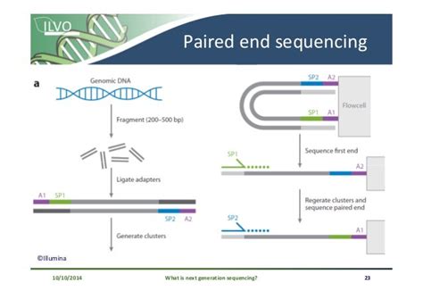 Ngs Basic Principles And Sequencing Platforms