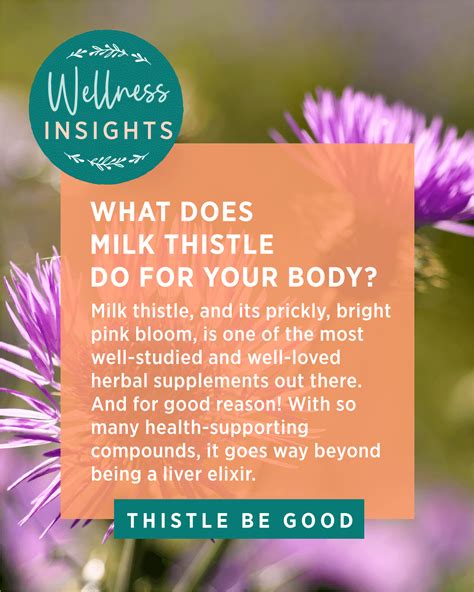 Superpure® Milk Thistle Extract Pure Synergy®