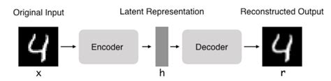 神经网络——自编码器（autoencoder） Skyfaker