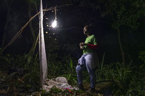 Jen Guyton Portfolio