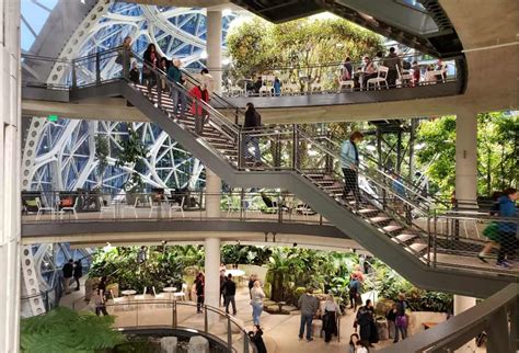 Amazon Spheres A Floresta Da Amazon No Centro De Seattle