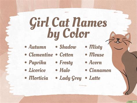Tabby Brown Cat Names