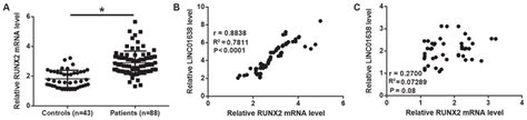 Plasma Runx2 Mrna Levels Are Upregulated In Colorectal Adenocarcinoma