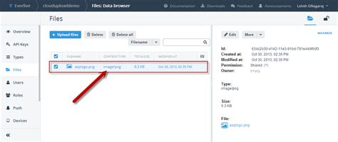 Codeless File Uploading To Everlive Using Teleriks Cloud Up