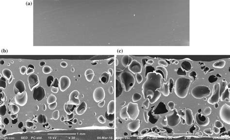 Typical Cellular Structure Of A Raw Pe B Pe Foam With 1 Wt Cfa And C Download Scientific
