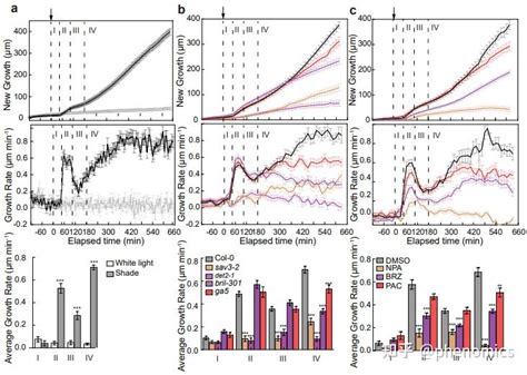 Phenomics 复旦大学生命科学学院李琳教授课题组揭示生长素、油菜素内酯和赤霉素在早期荫影诱导下胚轴伸长中的动态调控 知乎