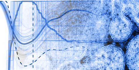 A Data Driven Semi Parametric Model Of Sars Cov 2 Transmission In The