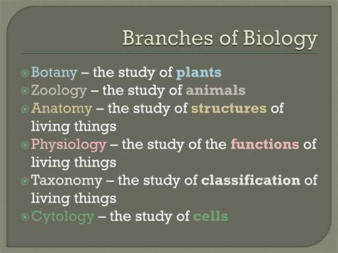 Ppt Introduction To Biology Powerpoint Presentation Free Download