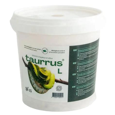 Green Tree Python Care Guide Housing Diet Heating And Decor