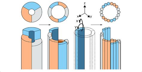 Schematic Representation Of The Design Process From The Rigid Download Scientific Diagram