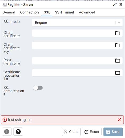 Postgresql Pgadmin For The Connection I Got Error Lost Ssh Agent