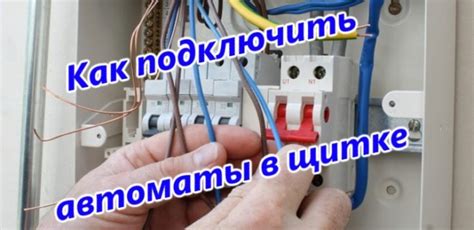 правила расположения автоматов в щитке