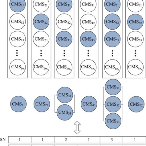 Coding Strategy For The Ssr Model Download Scientific Diagram