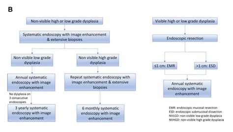 Gastric Dysplasia Surveillance Dr Matt W Johnson Bsc Mbbs Frcp Md