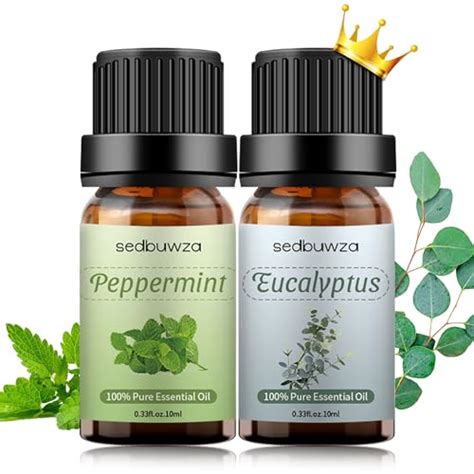 I Tested The Benefits Of Eucalyptus Oil And Peppermint Oil Heres What