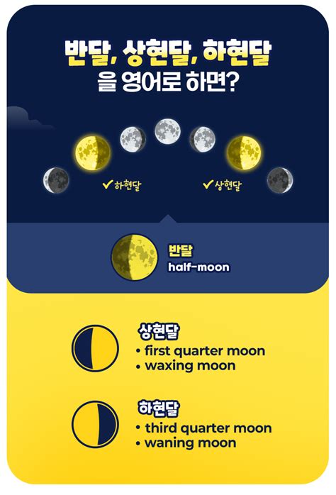 윤스매거진 윤선생