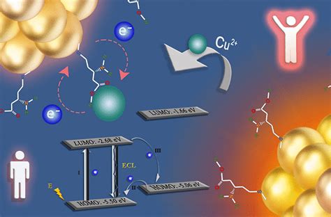 Correction To Gold Nanocluster Probe Based Electron Transfer Mediated Electrochemiluminescence