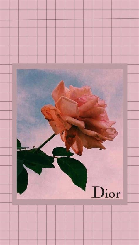 [100 ] Dior Aesthetic Wallpapers