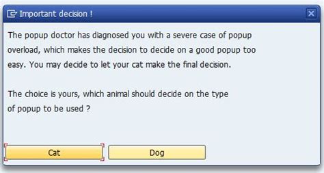 Sap popup window что это значит