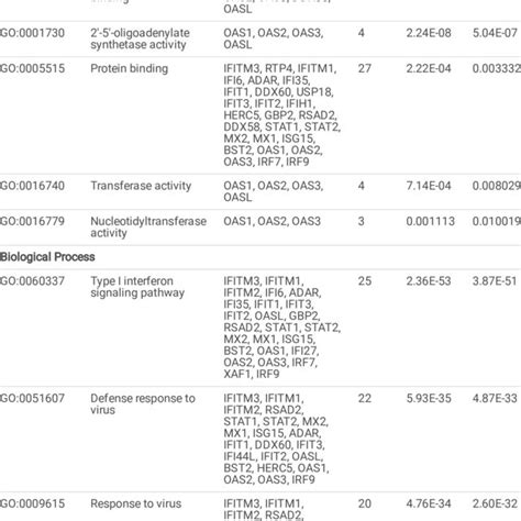 Signaling Pathway Enrichment Analysis Of Degs Function In Che