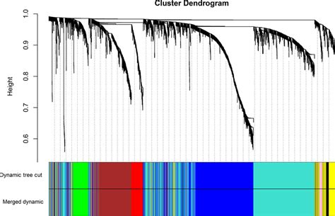 Clustering Tree Diagram By Hierarchical Clustering Based On Gene‐based