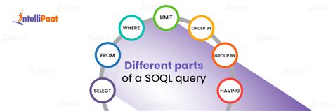 All Salesforce Interview Questions And Concepts Soql Salesforce