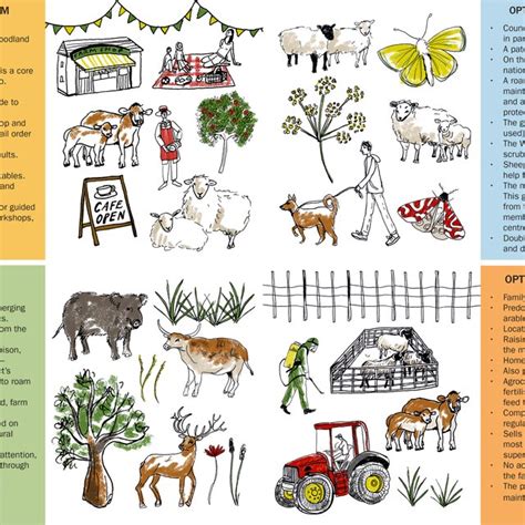 The Four Multi‐criteria Mapping Options Used Within The Appraisal
