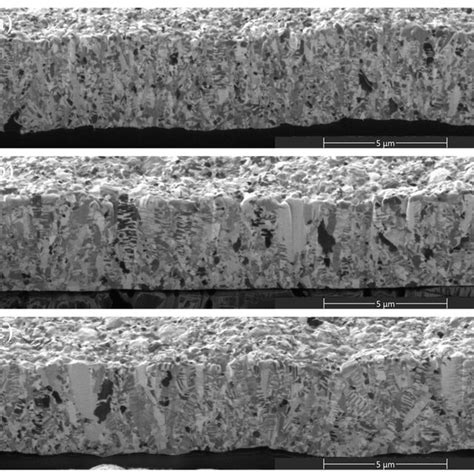Cross Sectional Fib Micrographs Of The 15 μm Thick Nt Cu Foils