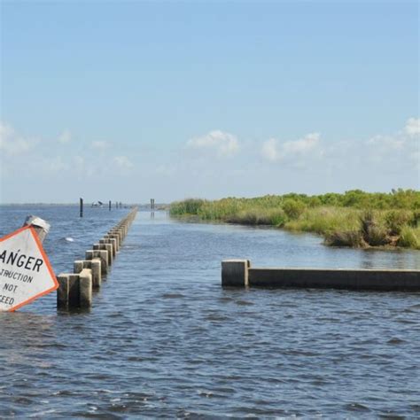 When Is Wetland Mitigation Required Three Step Rule Explained