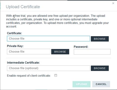How To Add Your Custom Domain To Your Bluemix App