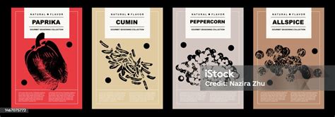 파프리카 커민 후추 딸기 추상적인 그리기 디자인에 향신료와 허브의 포스터 세트 음식 준비 및 요리를위한 라벨 또는 포스터 심플하고 평평한 디자인 포스터 표지 배너 0명에