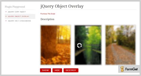 5 Best Jquery Overlay Plugins Free And Paid Formget