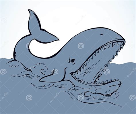 Whale With Open Mouth Vector Drawing Stock Illustration Illustration
