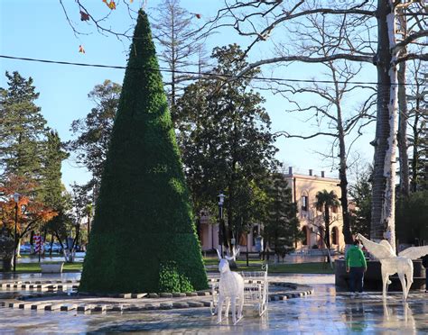🎄აბაშის მუნიციპალიტეტში ახალი წლისთვის მზადება მიმდინარეობს ️🎄საახალწლო ილუმინაციები მთელი