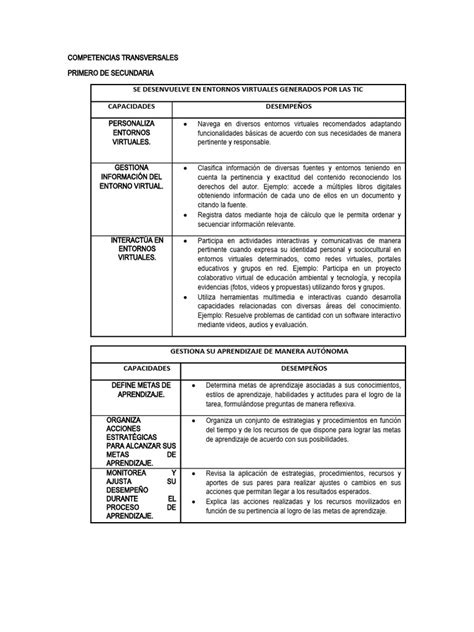 Competencias Transversales Pdf